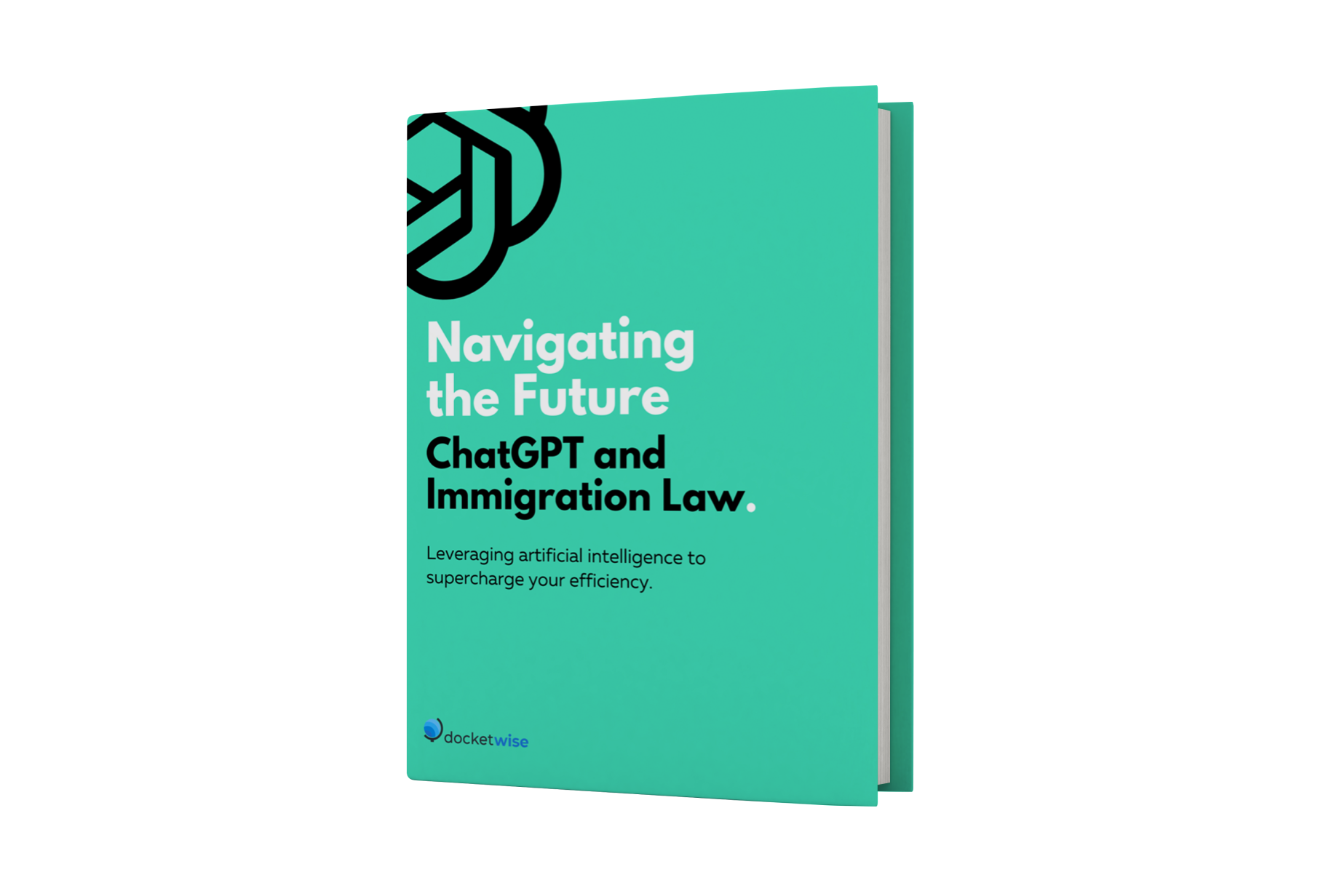 How to Create an Effective Welcome Packet for Immigration Law Firm Clients - Docketwise ...